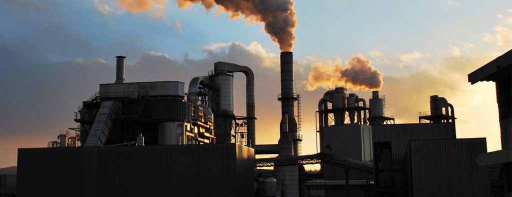 Novasen S.A. – Novasen S.A.